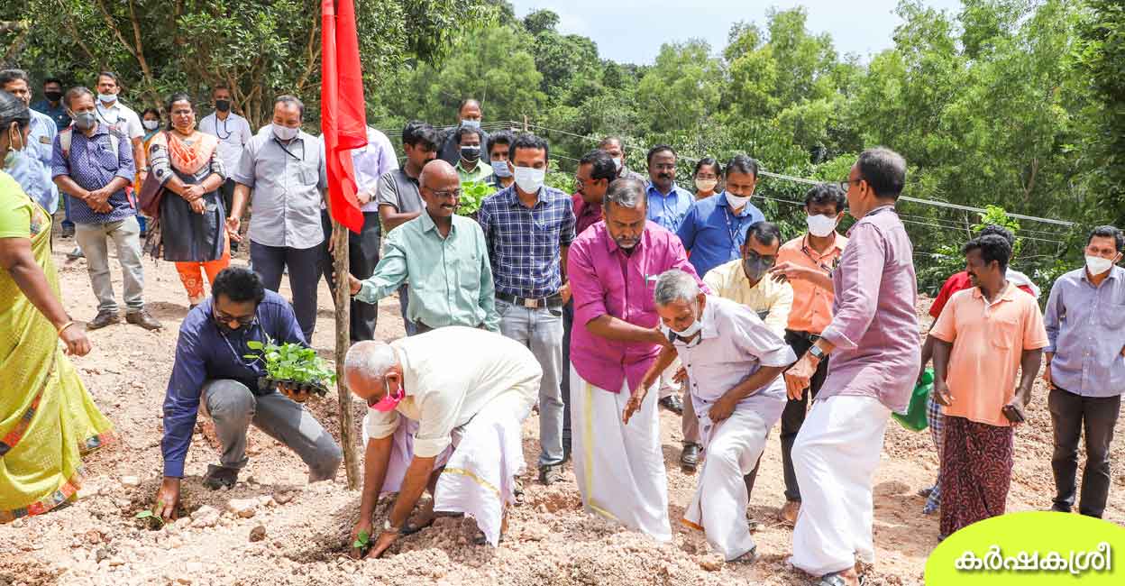 സുരക്ഷിത ഭക്ഷണത്തോടൊപ്പം വൈവിധ്യവും ഉറപ്പുവരുത്തണം: കൃഷിമന്ത്രി പി ...