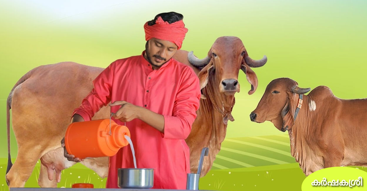 ദേശീയ ഗോപാല്‍ രത്ന പുരസ്കാരത്തിന് അപേക്ഷ ക്ഷണിച്ചു: അവസാന തീയതി ...