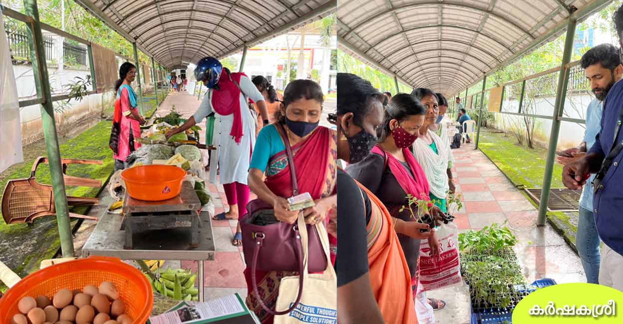 ഓണം കൊഴുപ്പിക്കാന്‍ ഓണച്ചന്ത സംഘടിപ്പിച്ച് ടെക്കികള്‍ - Onachantha at ...