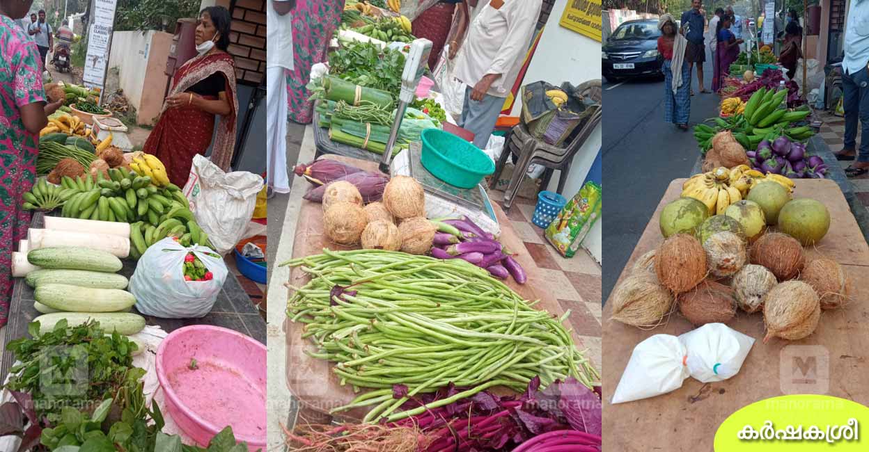 സാമൂഹികമാറ്റത്തിന്റെ പ്രതീകമായ ആൾക്കൂട്ടം; പ്രവർത്തനം 3 മണിക്കൂ ...