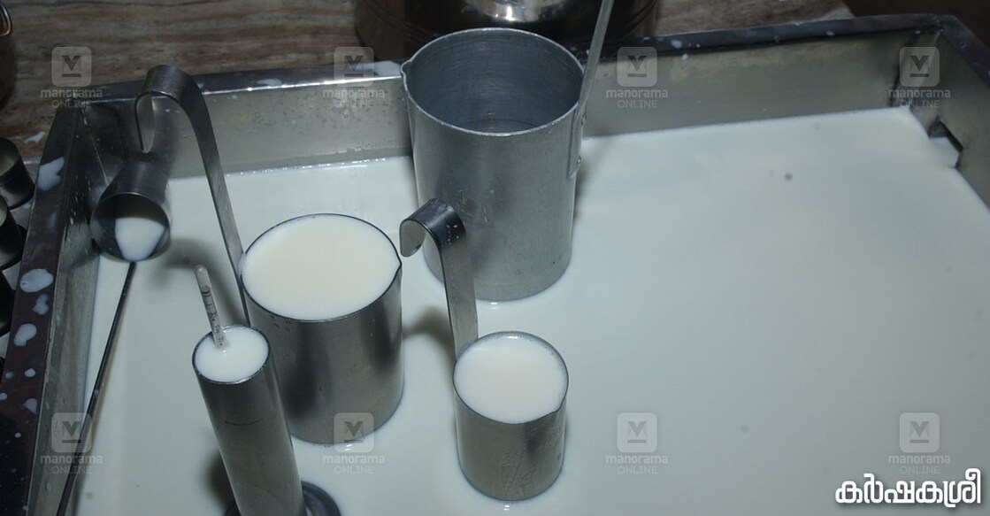 നാളെ ലോക ക്ഷീരദിനം; തങ്ങൾക്ക് കരിദിനമെന്ന് ക്ഷീരകർഷകർ – Kerala Dairy ...