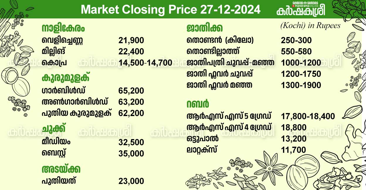 27 12 24 Year End Surge in Rubber Prices Impacts Kerala Market Karshakasree Manorama Online
