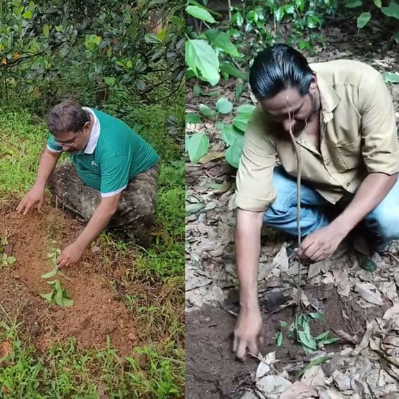 ലോക പരിസ്ഥിതി ദിനം | അന്താരാഷ്ട്ര പരിസ്ഥിതി ദിനം - World Environment Day 2024: Articles ...