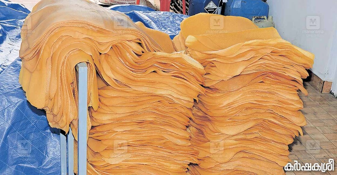 വിനിമയ വിപണിയിലെ മണികിലുക്കം അവസരമാക്കി റബർ: ഇന്നത്തെ (7/3/25) അന്തിമ ...