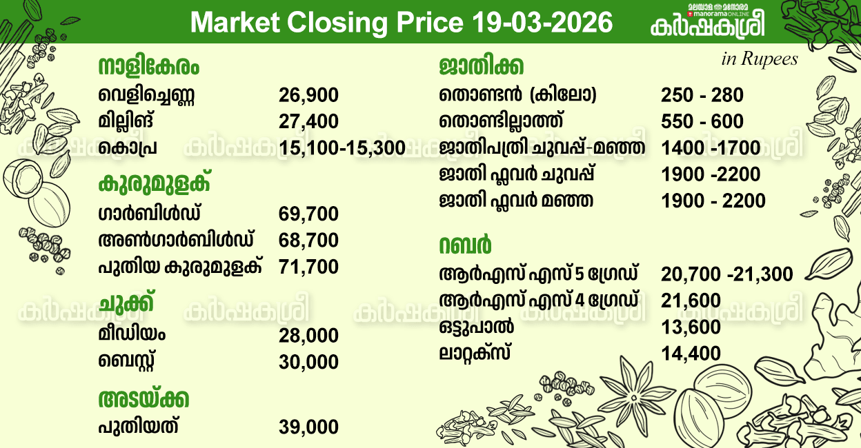 ഇന്നത്തെ (19/03/26) അന്തിമ വില - Commodity Market Closing Price ...