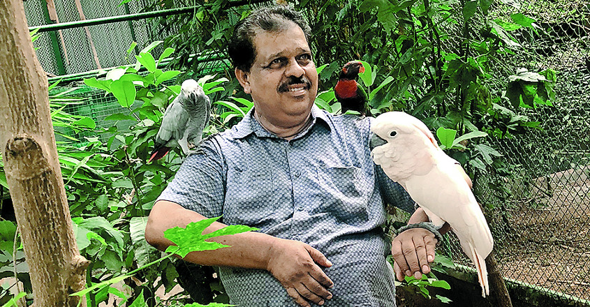 അലിയുടെ പക്ഷിവീട് - Ali Bird Home