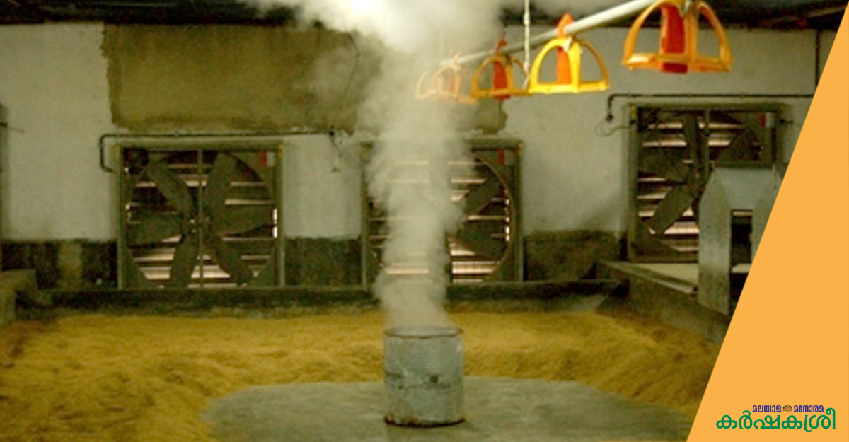 ഫാമിൽ സ്ഥിരമായുണ്ടാകുന്ന അസുഖങ്ങളെ തുരത്താനുണ്ട് ഒരു മാർഗം | Poultry ...