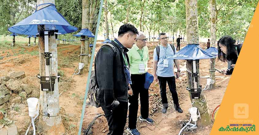 സ്വിച്ചിട്ടാൽ ലാറ്റക്സ് കിട്ടുമോ? | Automated Rubber Tapping Machine