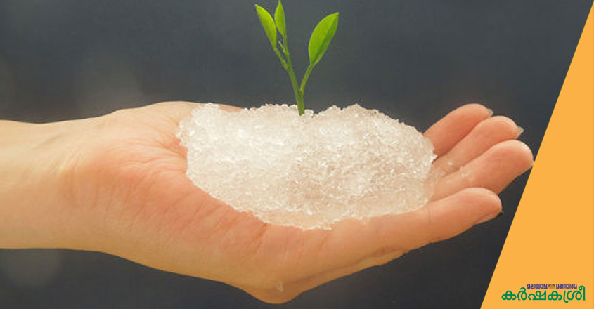 കൃഷിയിൽ ജലോപയോഗം കുറയ്ക്കാൻ ഉപയോഗിക്കാം ഹൈഡ്രോജെൽ | Hydrogel for Plants