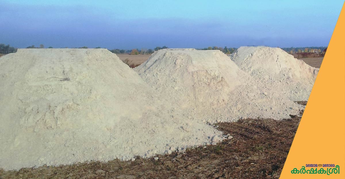 പ്ലാസ്റ്റർ ഓഫ് പാരിസിനുണ്ട് കൃഷിയിടത്തിലും സ്വാധീനം; ഗുണങ്ങളേറെ | The ...