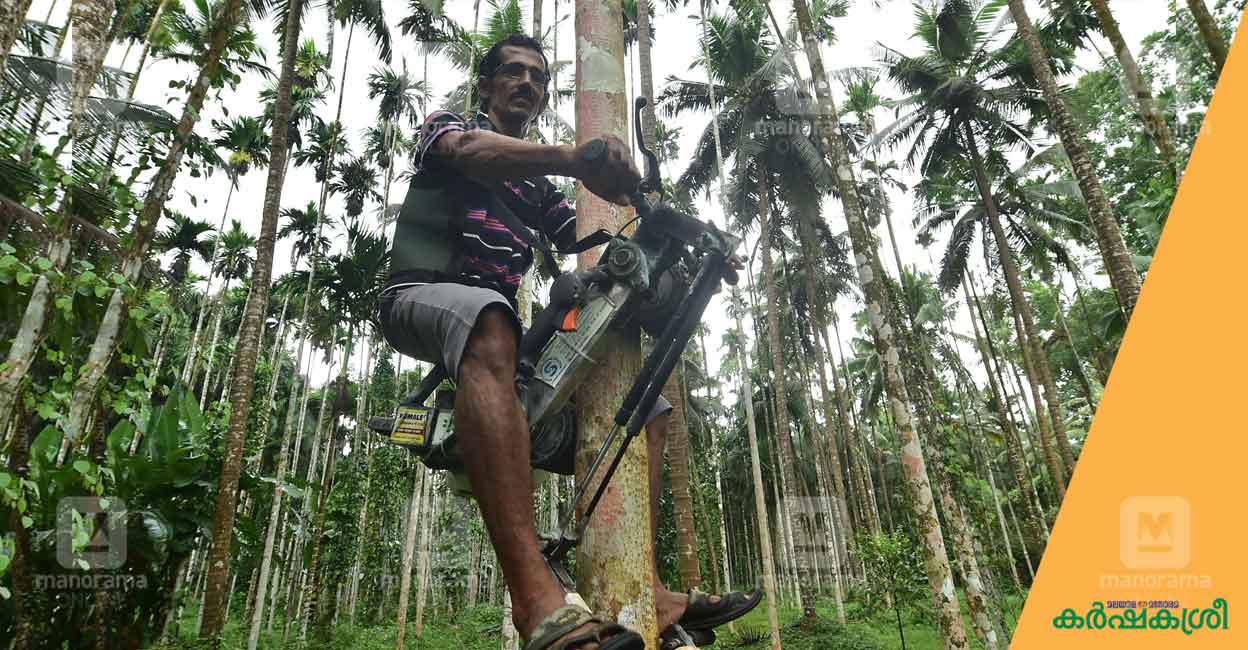ബൈക്ക് ഓടിച്ചു കമുകിൽ കയറാം; ഇത് മരം കയറുന്ന സൂപ്പർ ബൈക്ക് | Indian ...