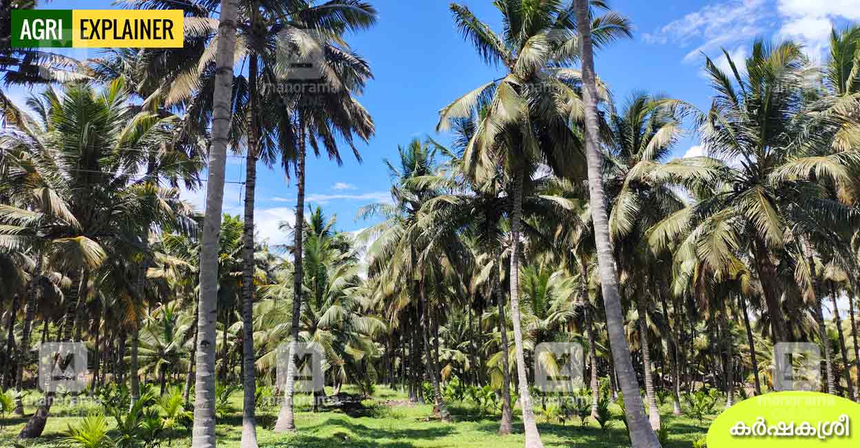 ഓരോ വ്യക്തിക്കും കൈവശം വയ്ക്കാവുന്ന ഭൂമിയുടെ പരിധി എത്ര? എങ്ങനെ ...