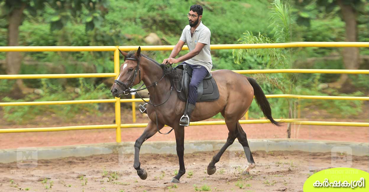 20 രൂപയ്ക്കു പശു, ആട്, കുതിര, ഒട്ടകപ്പക്ഷി തുടങ്ങി കാഴ്ചകളേറെ; പോകാം ...