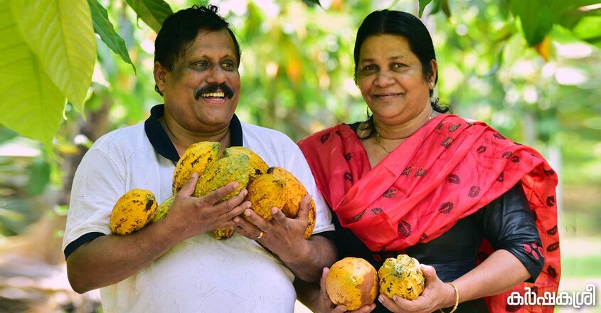 ‘വേലിയൊക്കെ ബലപ്പെടുത്തി തോട്ടത്തിനു കാവൽ നിൽക്കേണ്ട സ്ഥിതി’: ഇത് ...