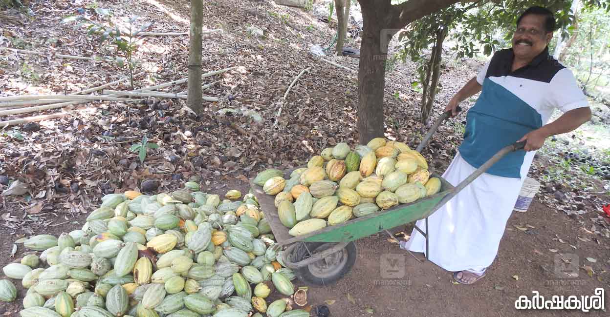 ‘വേലിയൊക്കെ ബലപ്പെടുത്തി തോട്ടത്തിനു കാവൽ നിൽക്കേണ്ട സ്ഥിതി’: ഇത് ...