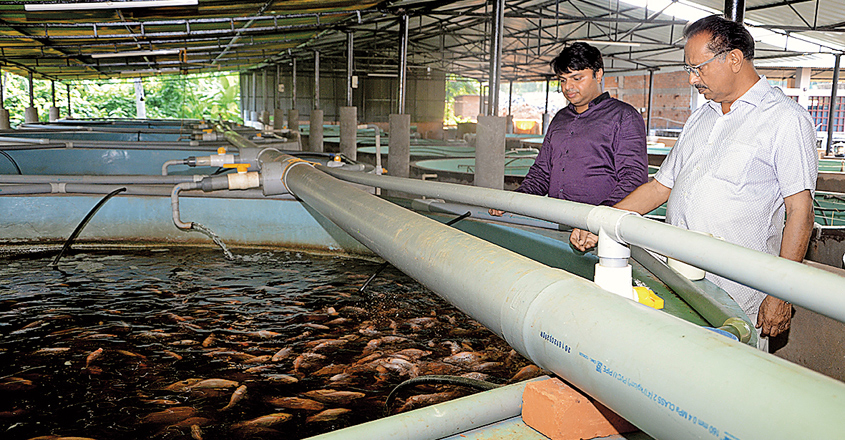 25 സെന്റിൽ നിന്ന് 20 ടൺ മൽസ്യം | Aquaculture | Flow Through Aquaculture