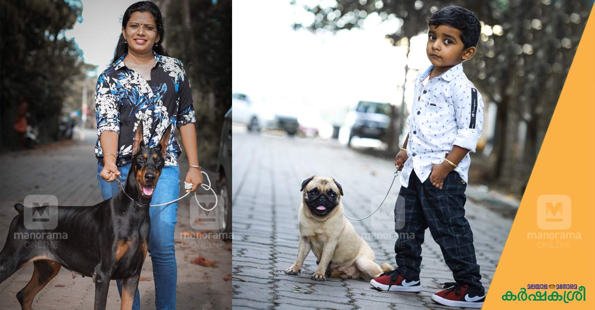 നായ്ക്കൾക്കുവേണ്ടി ഇതാ ഒരു ഫോട്ടോഗ്രാഫർ; ഇനി പെറ്റ് ഫോട്ടോഗ്രഫിയുടെ ...