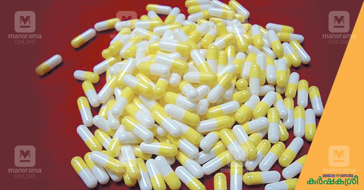 മിത്രകീടങ്ങളെ അനായാസം കൃഷിയിടത്തിലേക്ക് എത്തിക്കാൻ ഇനി ക്യാപ്സ്യൂളുക ...