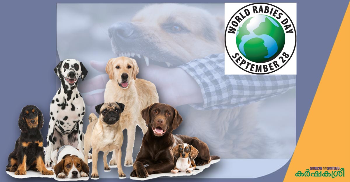 പേവിഷബാധ നിർമ്മാർജനം: വെല്ലുവിളികൾ നിറഞ്ഞ വലിയ ലക്ഷ്യം | world rabies ...