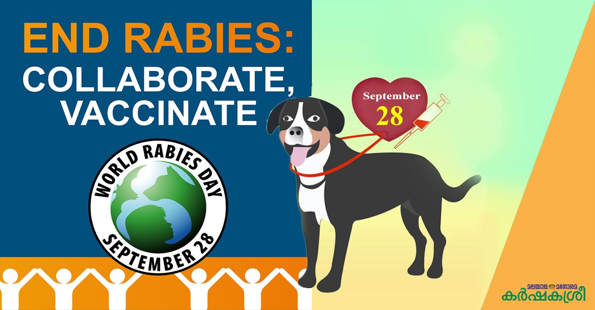 എന്തുകൊണ്ട് സെപ്റ്റംബർ 28 ലോക പേവിഷബാധ ദിനമായി ആചരിക്കുന്നു? കൂടുത ...