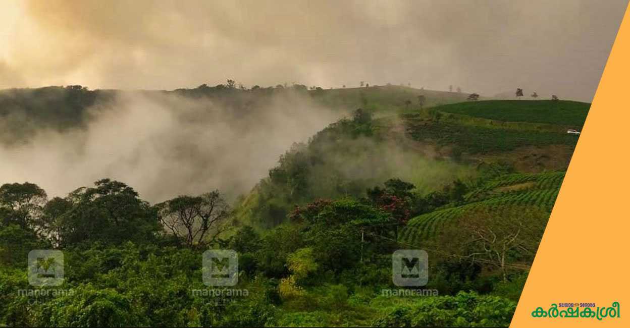 നിങ്ങളുടെ കൃഷിയിടം പരിസ്ഥിതി ദുർബലപ്രദേശമാണോ? | Ecologically Fragile Lands