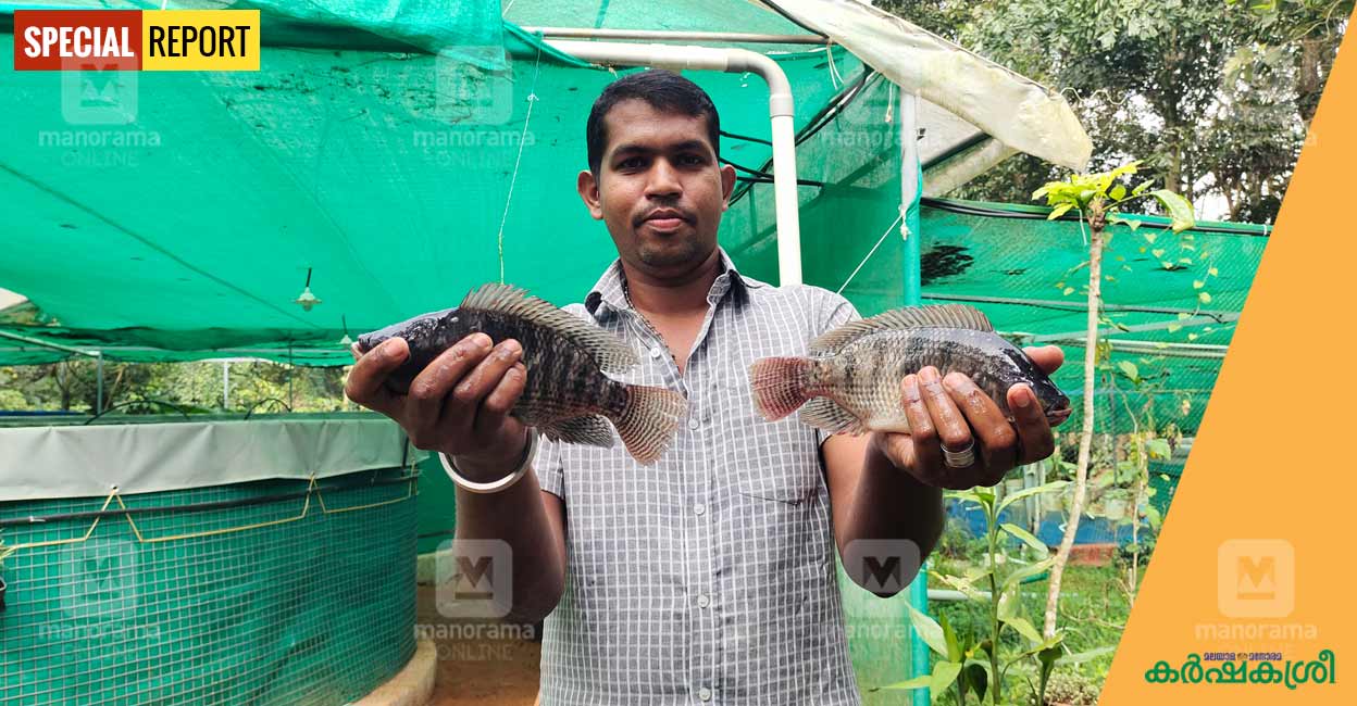 വൈദ്യുതി ഉൾപ്പെടെ മാസം ചെലവ് 20,000 രൂപ: മത്സ്യം വളർത്താൻ മറ്റു ...