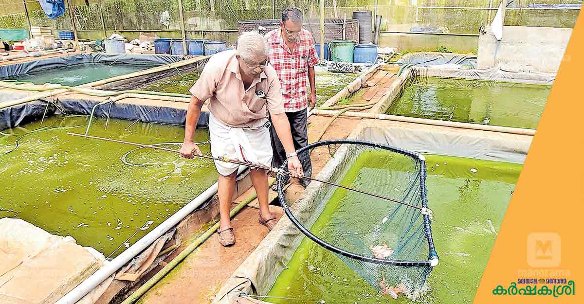 മത്സ്യക്കൃഷിയിൽ നഷ്ടം 1.37 കോടി, ജപ്തിയുടെ വക്കിൽ; ഇത് കർഷകന്റെ ദുരവസ്ഥ ...