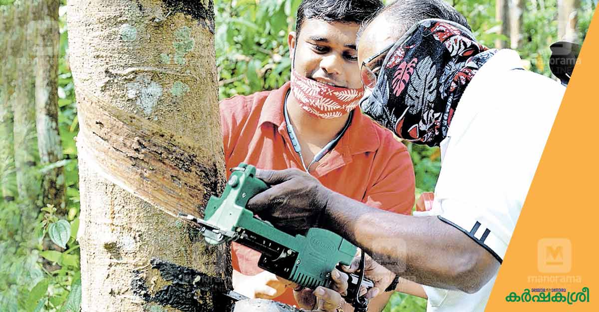 റബർ ബോർഡിനു ബോധിച്ച ടാപ്പിങ് മെഷീൻ; വികസിപ്പിച്ചത് മലയാളി | Rubber ...