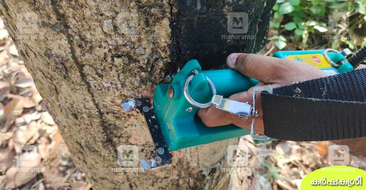 മലയാളിയുടെ ടാപ്പിങ് മെഷീന് പ്രചാരമേറുന്നു; 50% സബ്സിഡിയോടെ വാങ്ങാം ...