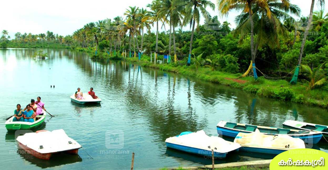 മോഹക്കാഴ്ചകളുടെ മത്സ്യത്തുരുത്ത്; പോകാം ഞാറയ്ക്കലിലെ അക്വാ ടൂറിസം ...