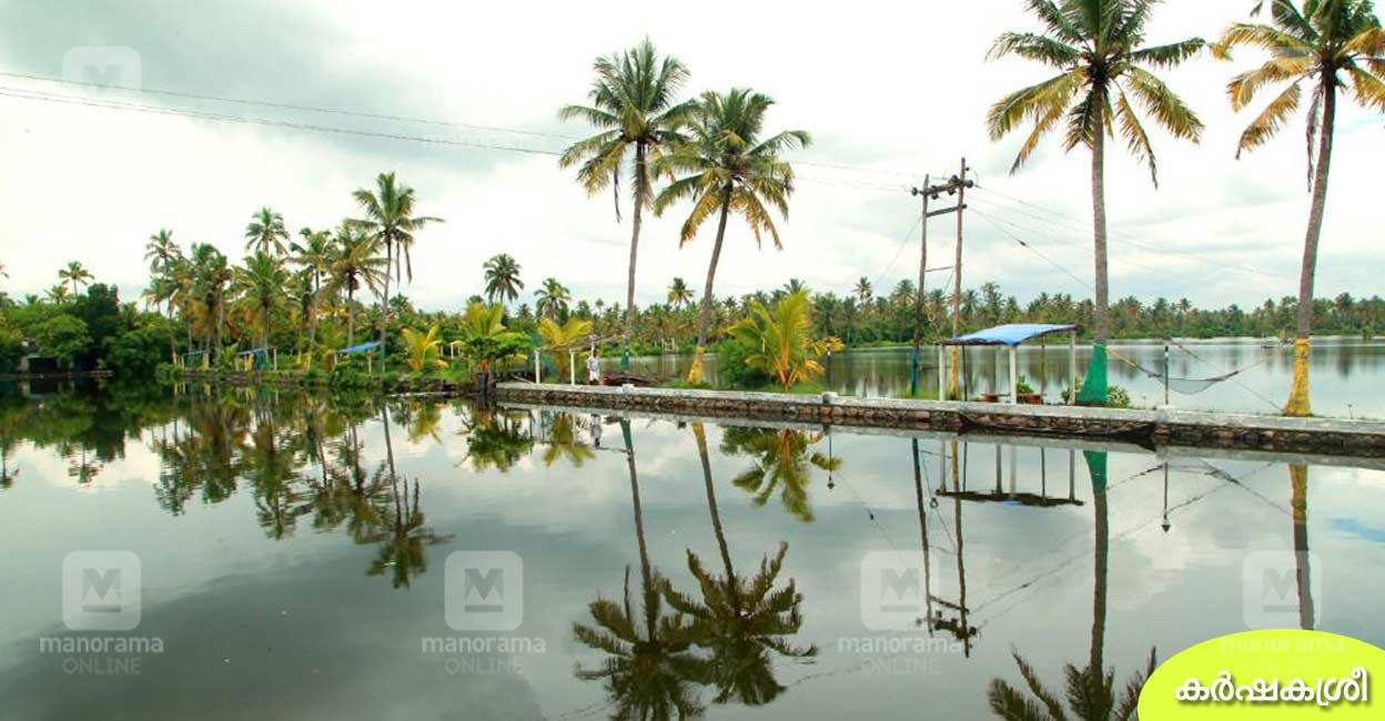 മോഹക്കാഴ്ചകളുടെ മത്സ്യത്തുരുത്ത്; പോകാം ഞാറയ്ക്കലിലെ അക്വാ ടൂറിസം ...