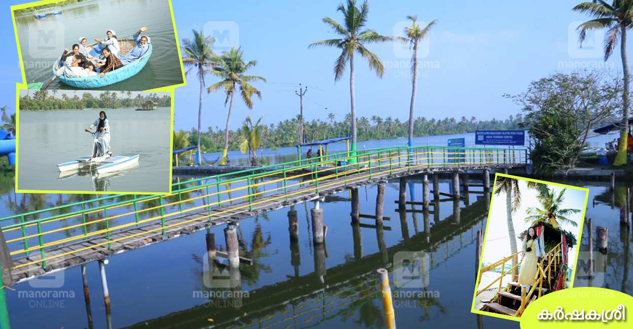 മോഹക്കാഴ്ചകളുടെ മത്സ്യത്തുരുത്ത്; പോകാം ഞാറയ്ക്കലിലെ അക്വാ ടൂറിസം ...