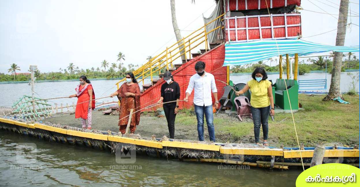 മോഹക്കാഴ്ചകളുടെ മത്സ്യത്തുരുത്ത്; പോകാം ഞാറയ്ക്കലിലെ അക്വാ ടൂറിസം ...