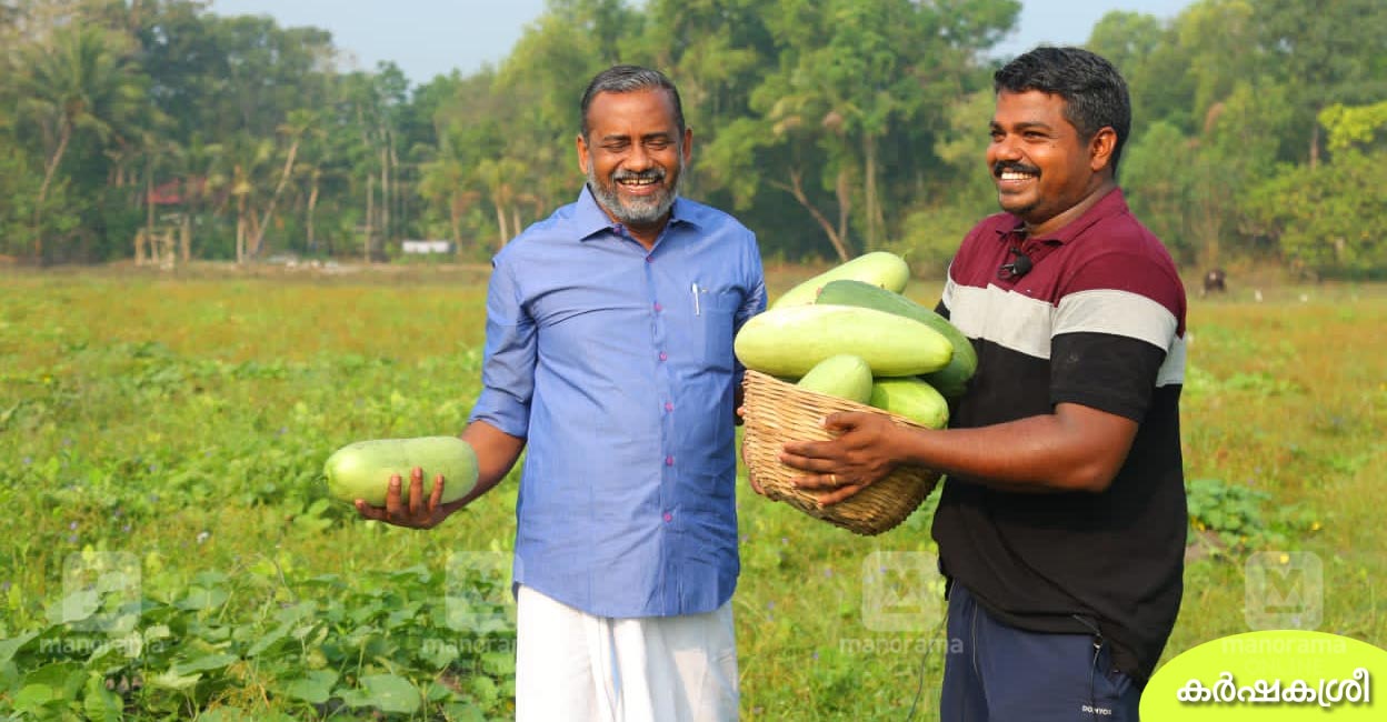 സെയിൽസ്മാനിൽനിന്ന് കർഷകനിലേക്ക്... പച്ചക്കറിക്കൃഷിയിലൂടെ ലക്ഷങ്ങൾ നേടി ...