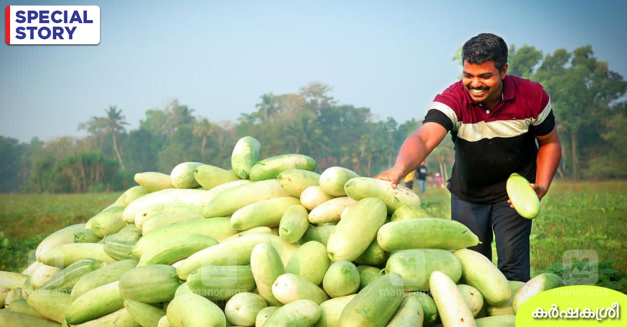 സെയിൽസ്മാനിൽനിന്ന് കർഷകനിലേക്ക്... പച്ചക്കറിക്കൃഷിയിലൂടെ ലക്ഷങ്ങൾ നേടി ...
