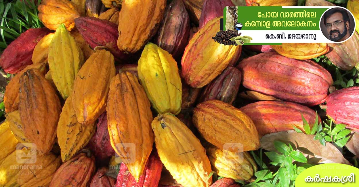 കണക്കുകൂട്ടലുകൾ തെറ്റിച്ച് മഴയും രോഗങ്ങളും: വിളനാശത്തിൽ വഴിമുട്ടി ...