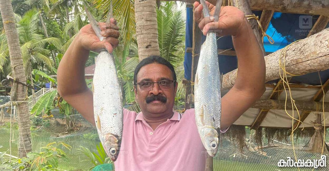 പുതുതായി ഒരു ആശയവുമില്ല; എല്ലാവരും ഉപേക്ഷിച്ച ഒരേക്കറിൽനിന്ന് 5 ലക്ഷം ...