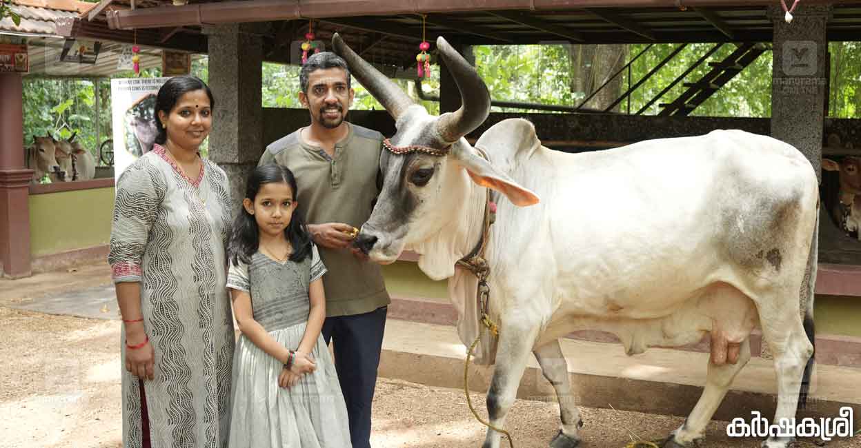 പാലല്ല, ചാണകമാണു വരുമാനം; മുന്നൂറോളം ഉൽപന്നങ്ങൾ, 21000 പിൻകോഡുകളിൽ വി ...