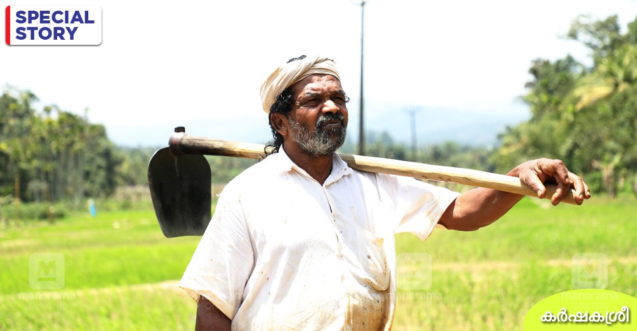 പത്മശ്രീ ചെറുവയൽ രാമന്റെ 2 ചോദ്യങ്ങൾ; ഉത്തരം നൽകേണ്ടത് കാർഷിക കേരളമാണ് ...