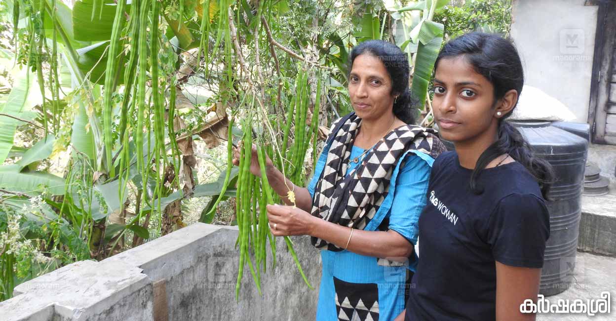 ഭർത്താവിന്റെ അസുഖം മൂലം കർഷകയായ വീട്ടമ്മ; ഇന്ന് 25 ഏക്കറിൽ കൃഷി ...