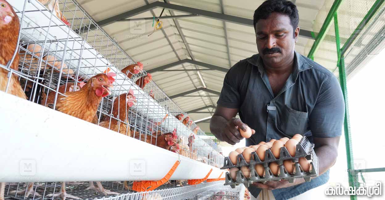 ബിവി 380 ഒരിക്കലും നഷ്ടമല്ല; നഷ്ടമാകാൻ കാരണങ്ങളുണ്ട്; ലാഭവഴിക ...