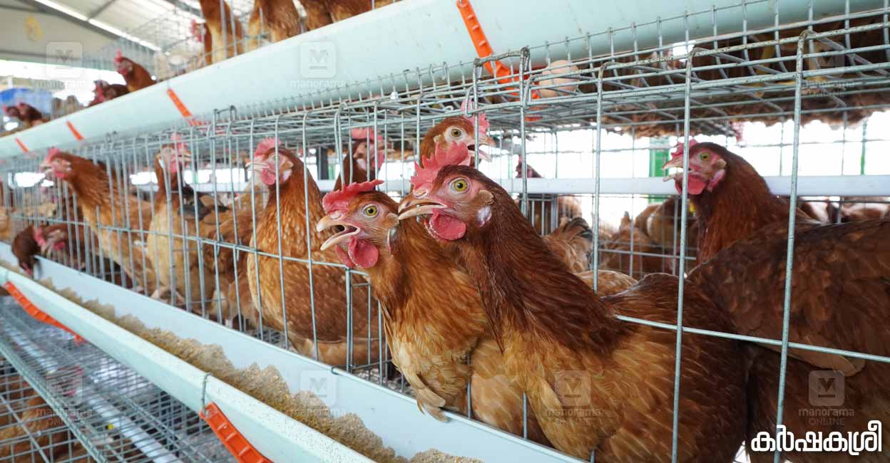 ബിവി 380 ഒരിക്കലും നഷ്ടമല്ല; നഷ്ടമാകാൻ കാരണങ്ങളുണ്ട്; ലാഭവഴിക ...