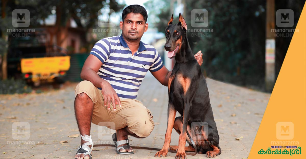 നായ്ക്കൾക്കുവേണ്ടി ഇതാ ഒരു ഫോട്ടോഗ്രാഫർ; ഇനി പെറ്റ് ഫോട്ടോഗ്രഫിയുടെ ...