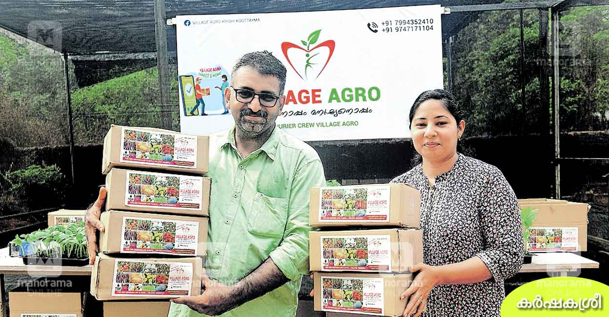 മാസം 70 ലക്ഷം പച്ചക്കറിത്തൈകൾ വിൽക്കുന്ന നഴ്സറി: വില്ലേജ് അഗ്രോ എന്ന ...