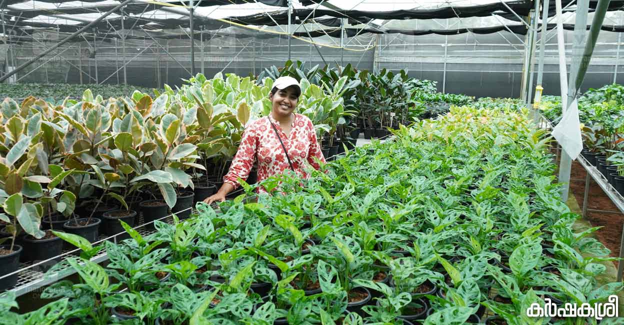 പഠനം നെതർലൻഡ്‌സിൽ, ഇവിടെ ഒന്നര കോടിയുടെ ഇലച്ചെടിത്തോട്ടം, 25–ാം വയസി ...