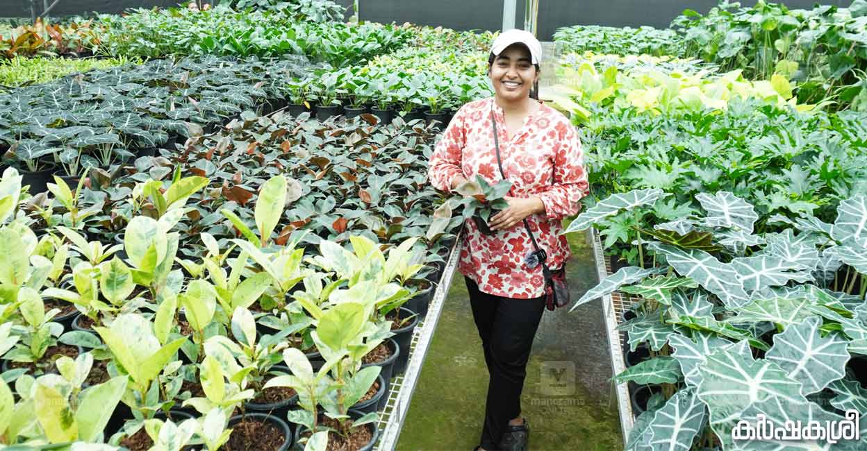 പഠനം നെതർലൻഡ്‌സിൽ, ഇവിടെ ഒന്നര കോടിയുടെ ഇലച്ചെടിത്തോട്ടം, 25–ാം വയസി ...