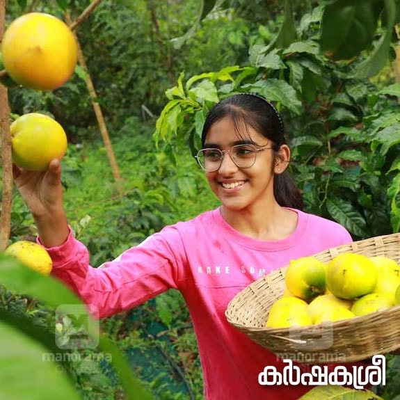 അബിയുപ്പഴങ്ങള്‍ കൂടയിലാക്കി താരം: അറിയാം ഈ ആമസോണ് ...