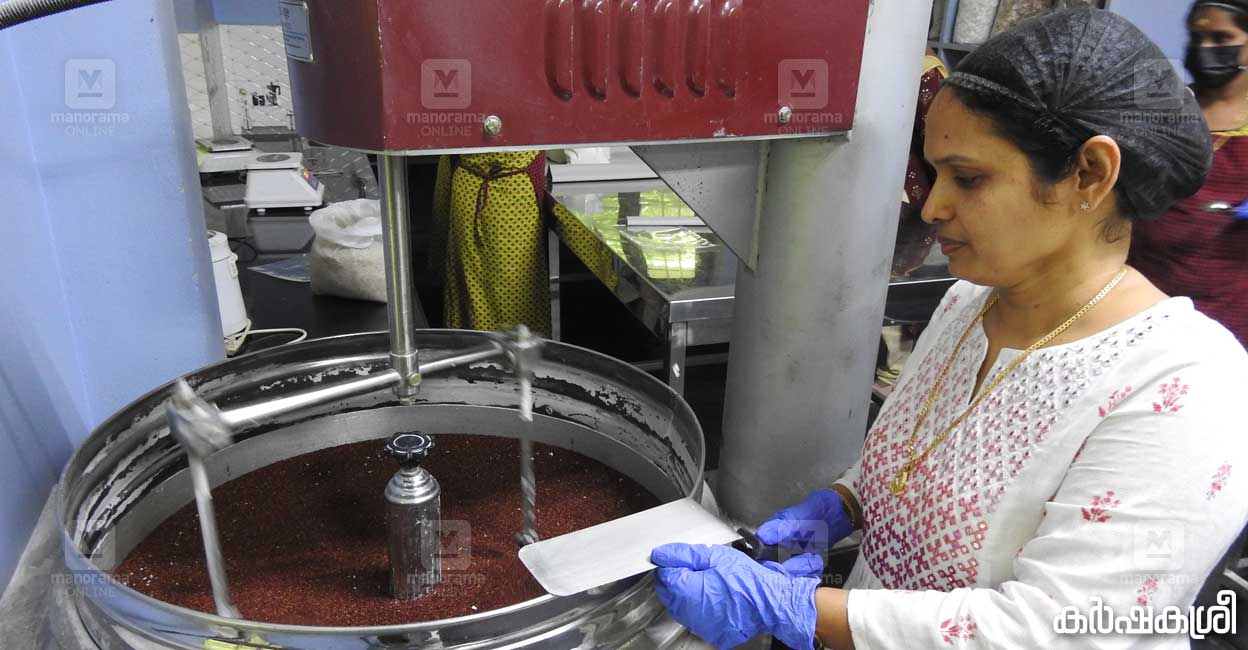 നാടൻ വിഭവങ്ങളിലൂടെ സംരംഭകയായി ഫ്രാൻസി; ആരോഗ്യപ്രശ്നങ്ങളെ ഭക്ഷണം ...