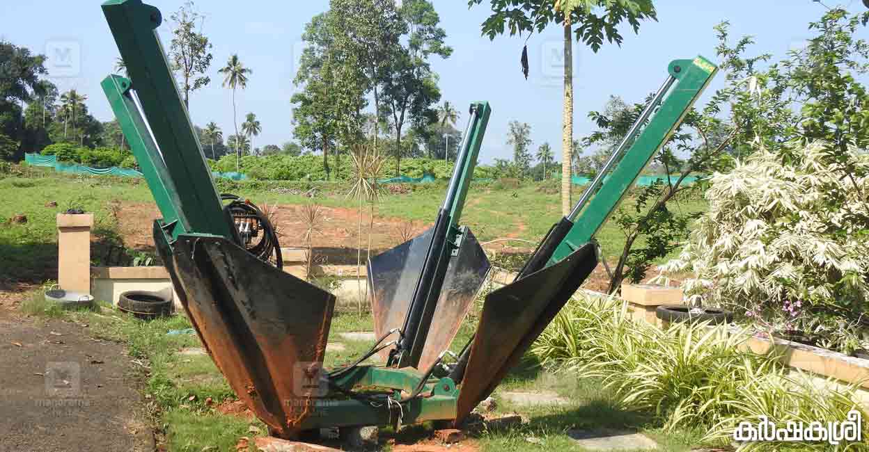 വാട്ട് ആൻ ഐഡിയ സർജി!! റംബുട്ടാൻ മരങ്ങൾ വളർന്നപ്പോൾ ബുദ്ധിമുട്ടായി ...