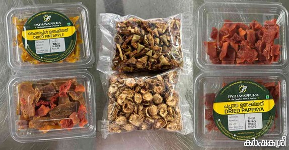 ‘ആന്റ് ഹിൽ’ കോട്ടേജുകൾ; അദ്ഭുതങ്ങൾ നിറഞ്ഞ കൃഷിയിടം; ഇത് കൃഷിയിടം ...